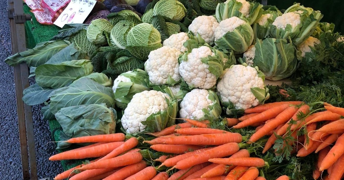 Martin Hart & Son – eXplore Bury St Edmunds!