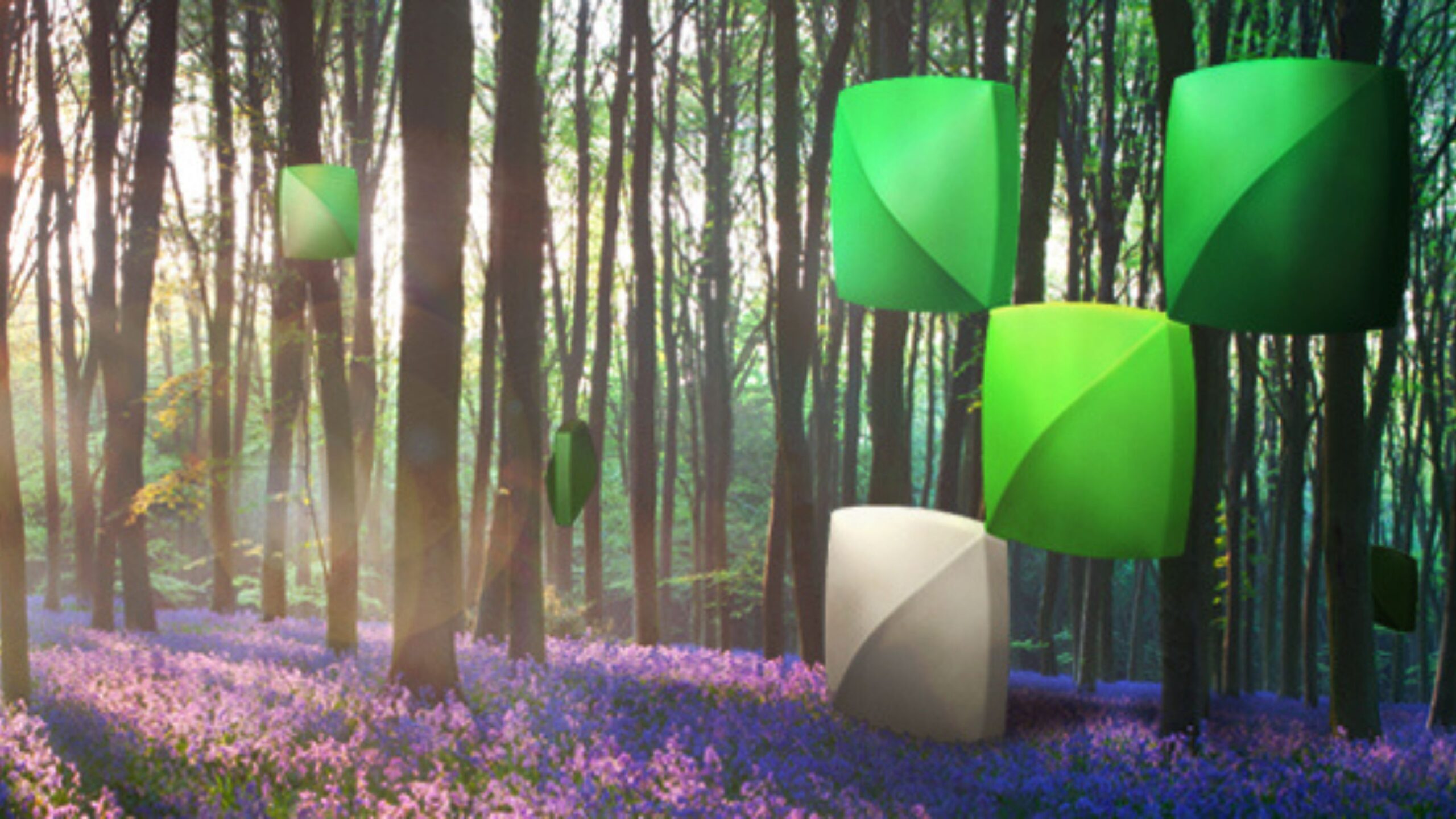 Yorkshire Building Society | eXplore Bury St Edmunds!