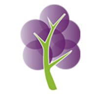 Grape Tree logo – eXplore Bury St Edmunds!