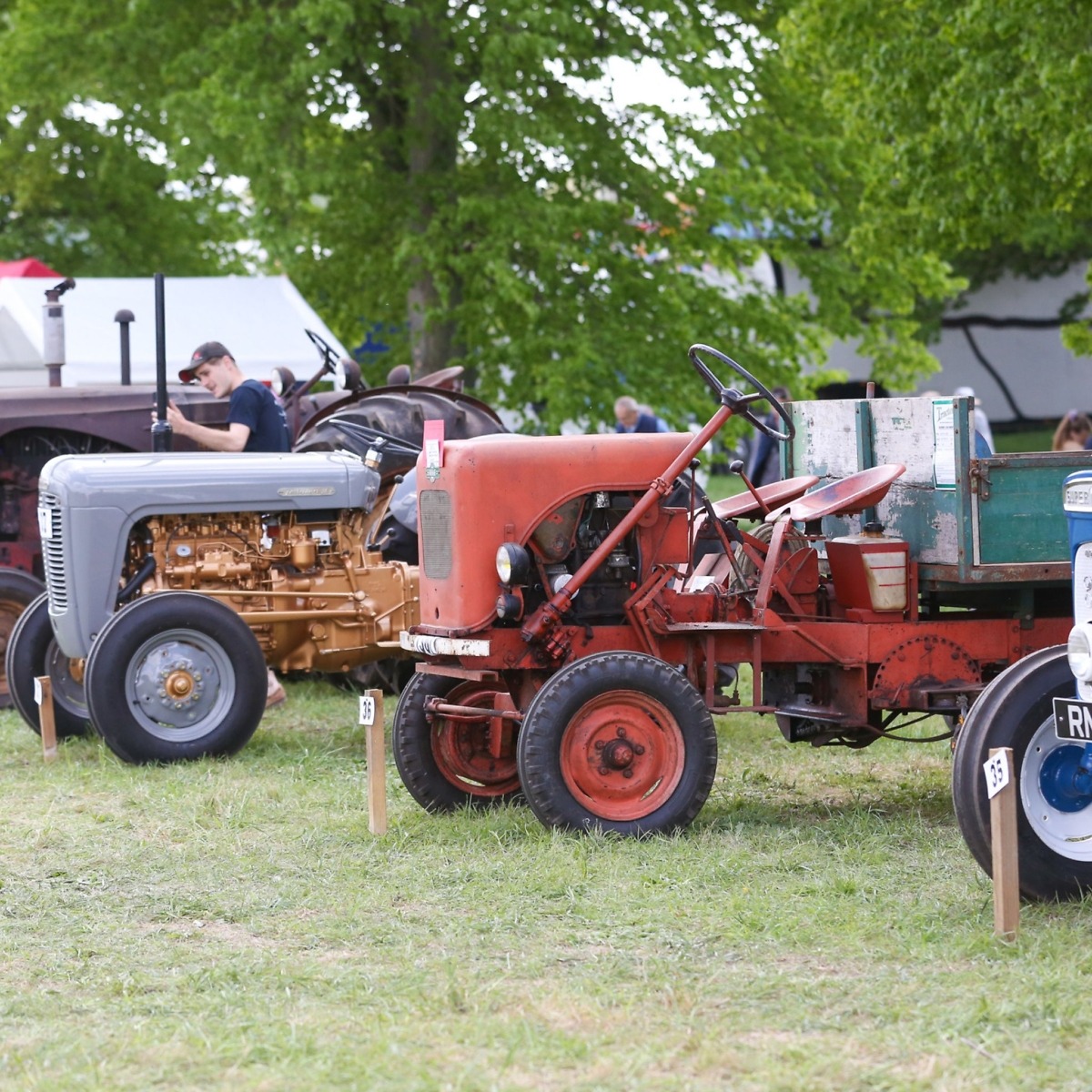 Have a Fun-Filled Day Out With The South Suffolk Show – eXplore Bury St ...