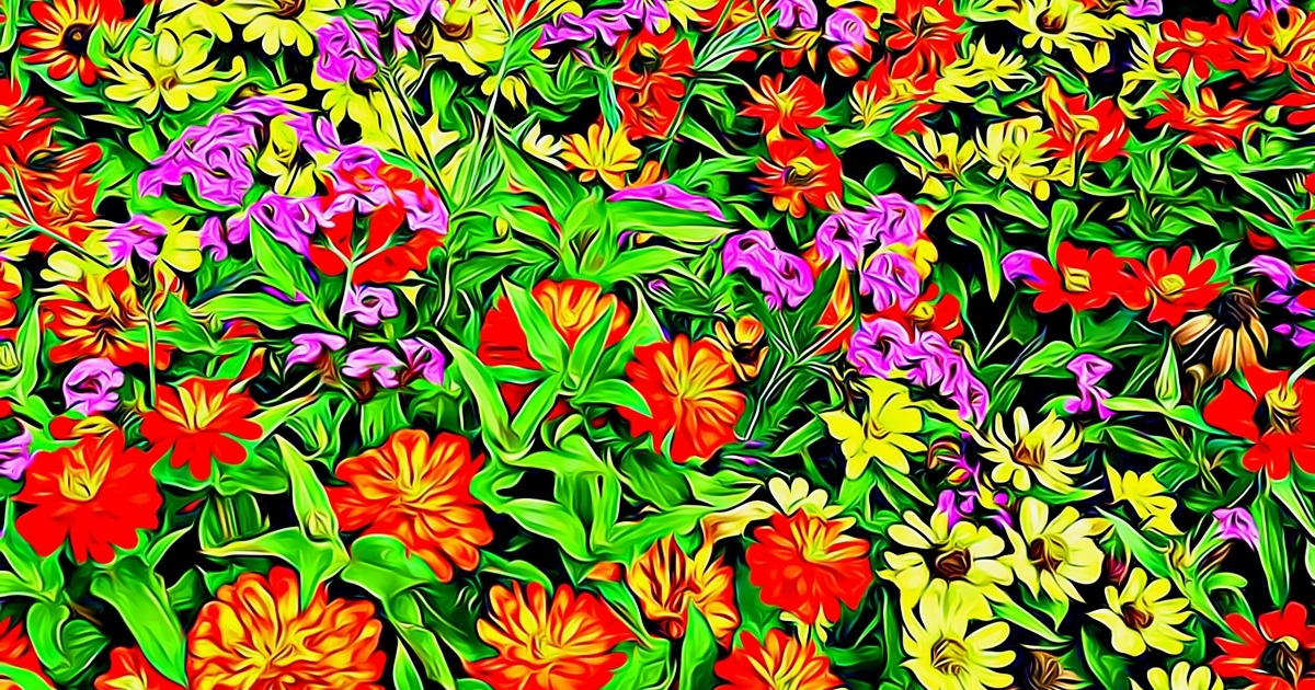 eXplore… Flora and Fauna – eXplore Bury St Edmunds!